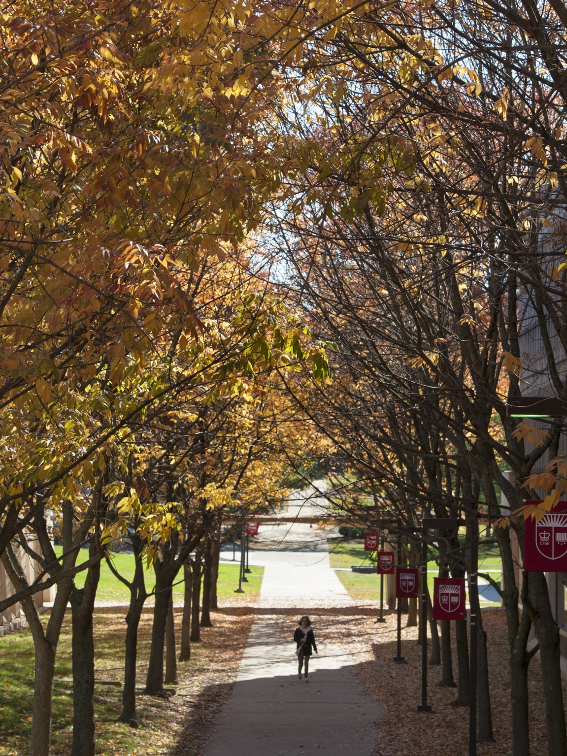 Partner Centers & Institutes | Rutgers School of Public Health